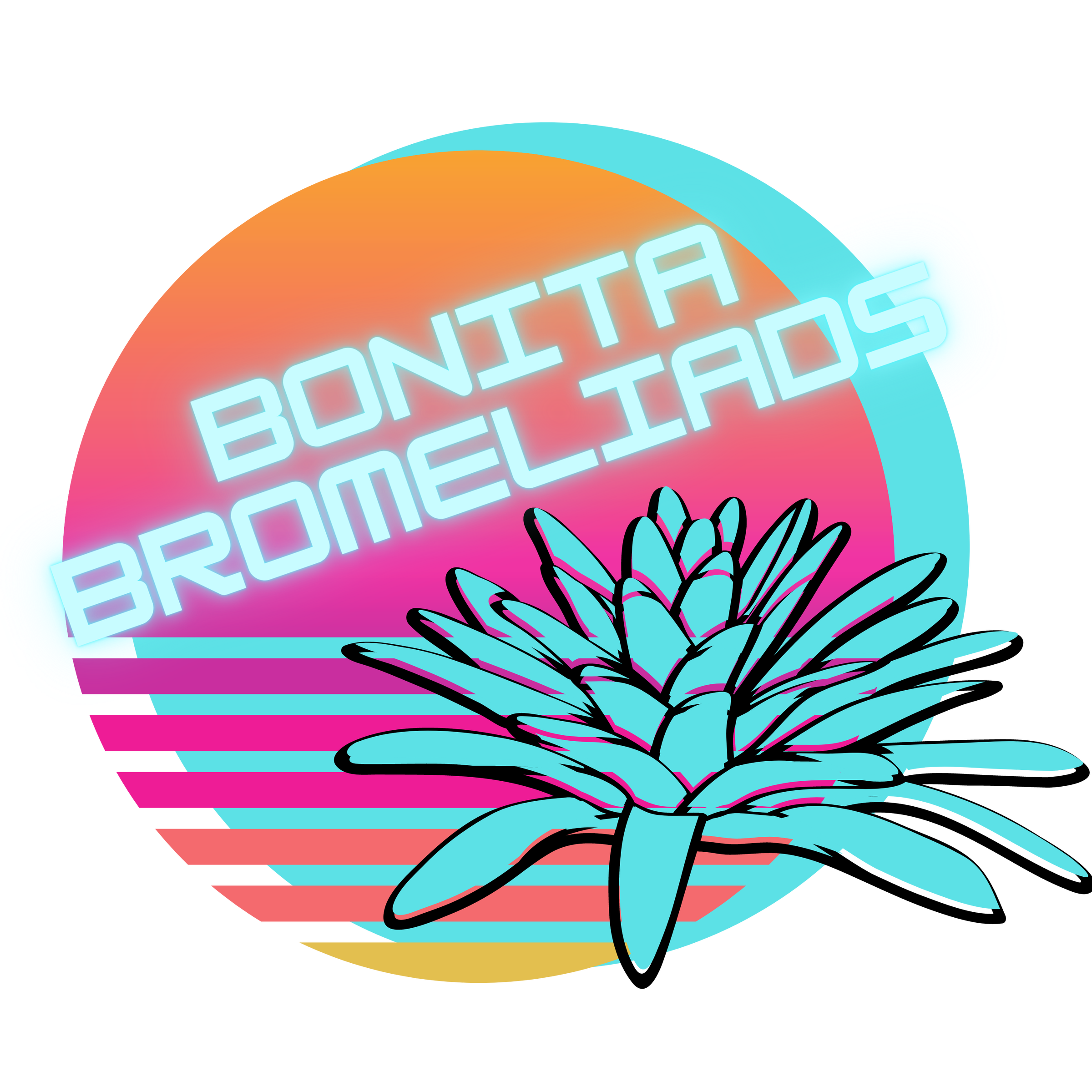 Home | Bonita Bromeliads Specialty Plant Nursery